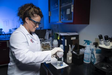 Dodge City Lab - Sample Drop-Off Locations